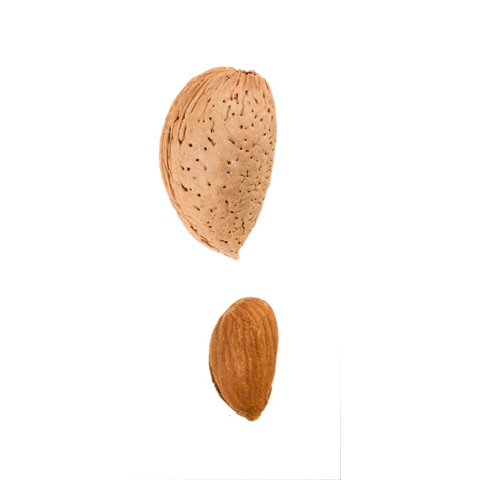 ALMENDROS - Priego - Variedad de almendros y sus propiedades.